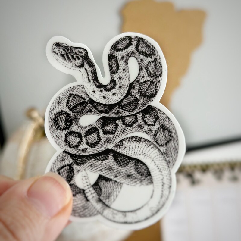 Snake Black Decal Car - Etsy UK