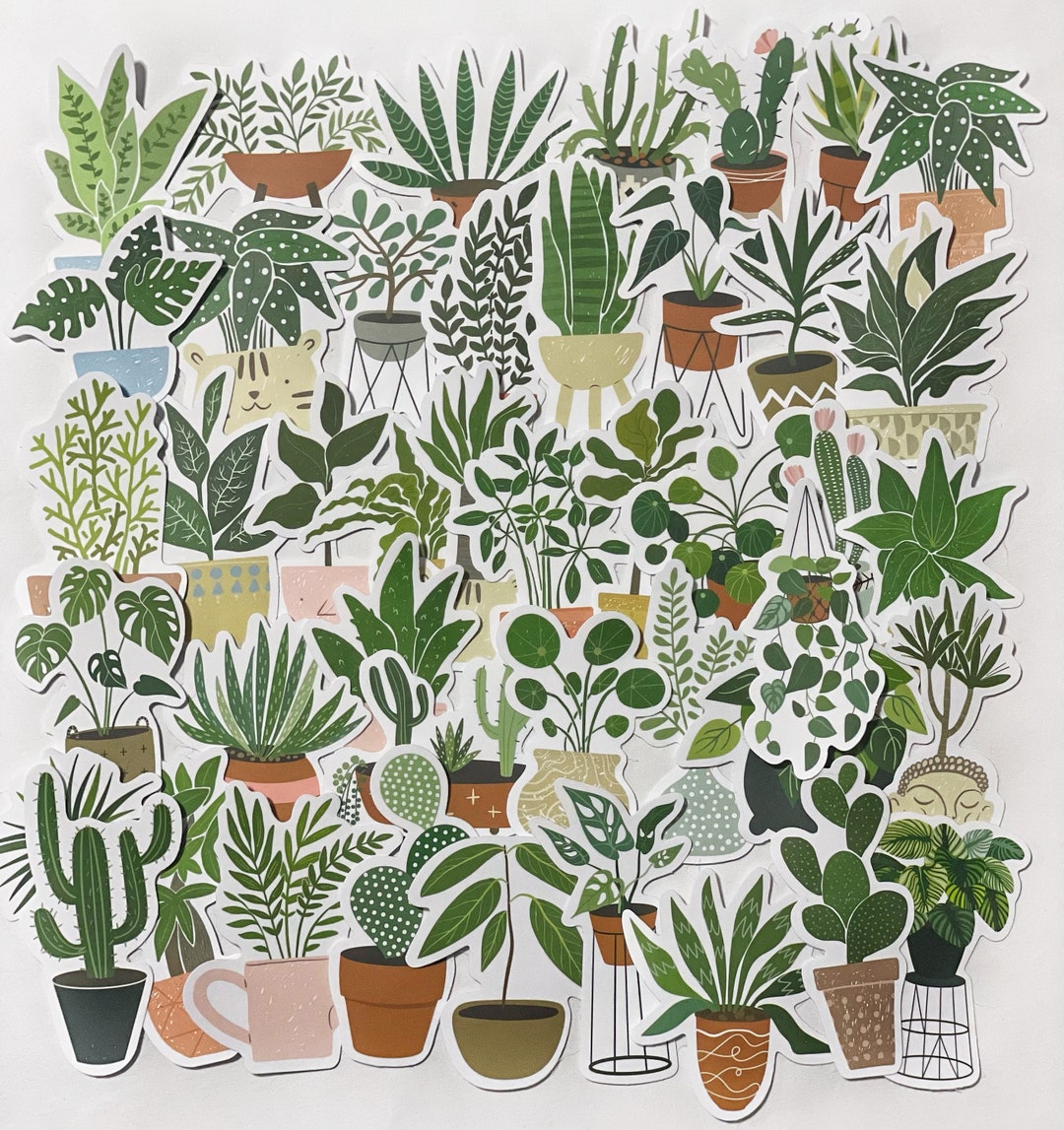 Plant Stickers Selection Boho Style Plant Lover Stickers Plant Lady ...