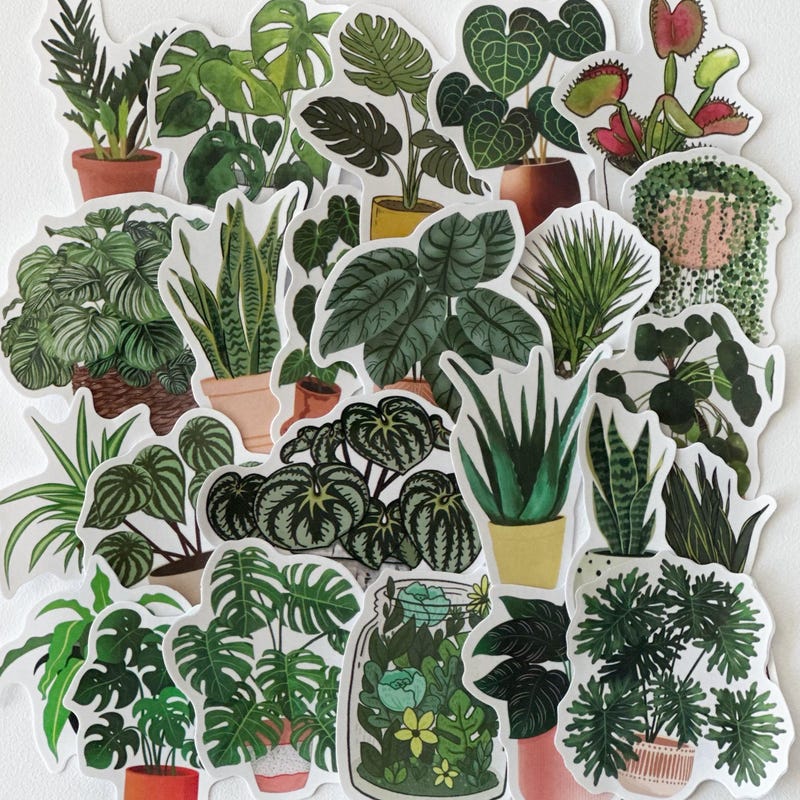 Plant Stickers - Etsy