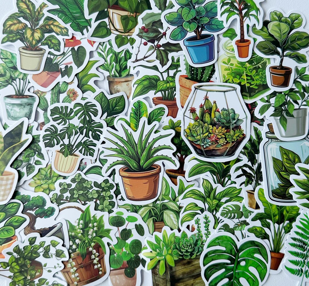 Plant Stickers Pack: Surprise Vinyl Decals for Plant Lovers - Etsy