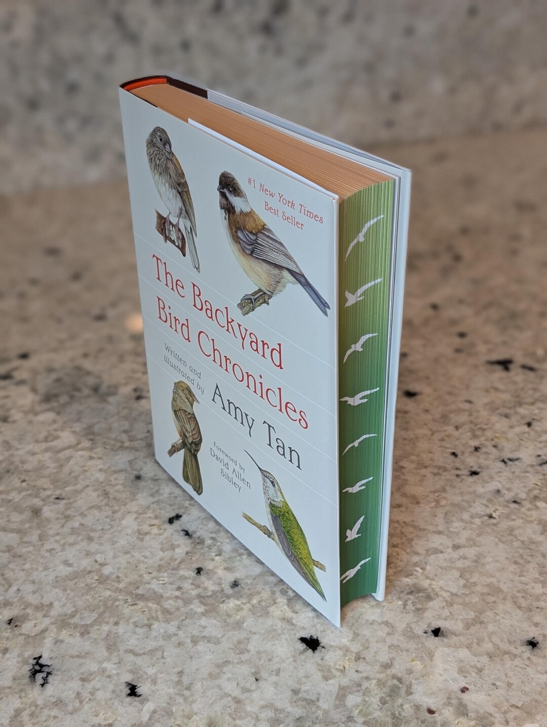 The Backyard Bird Chronicle by Amy Tan W/custom Sprayed and Stenciled ...