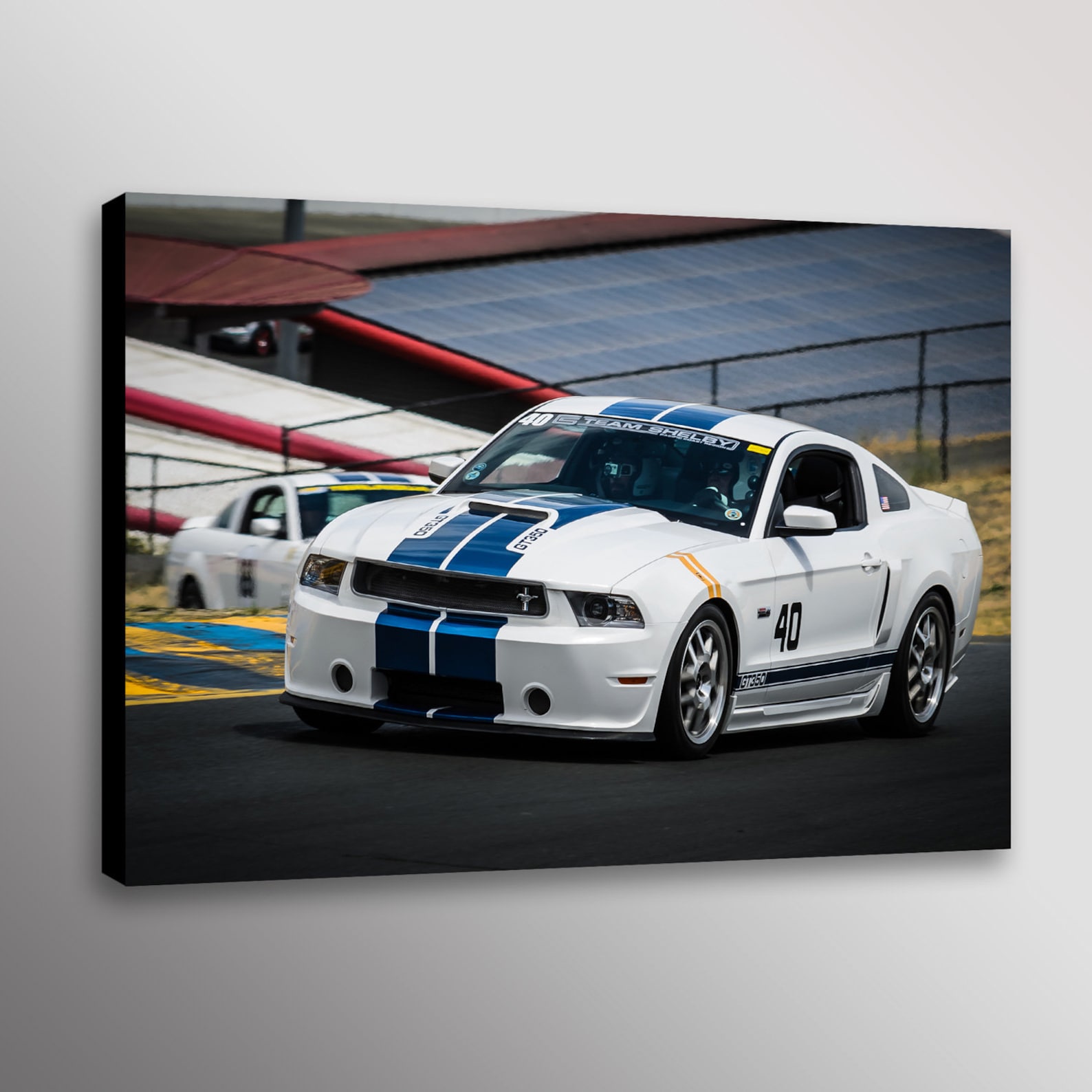 2014 Ford Mustang Shelby GT350 Racecar Front Original Wall Art ...
