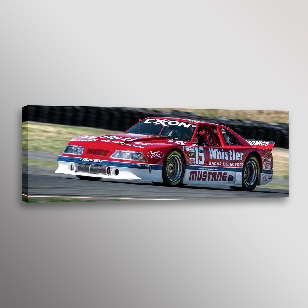 1991 Ford Mustang Roush IMSA GTO Racecar Original Panoramic Wall Art ...