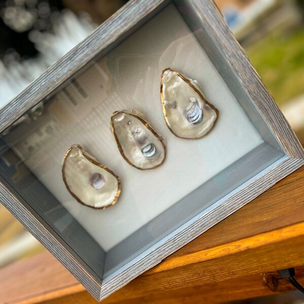 Shell Shadow Box - Etsy