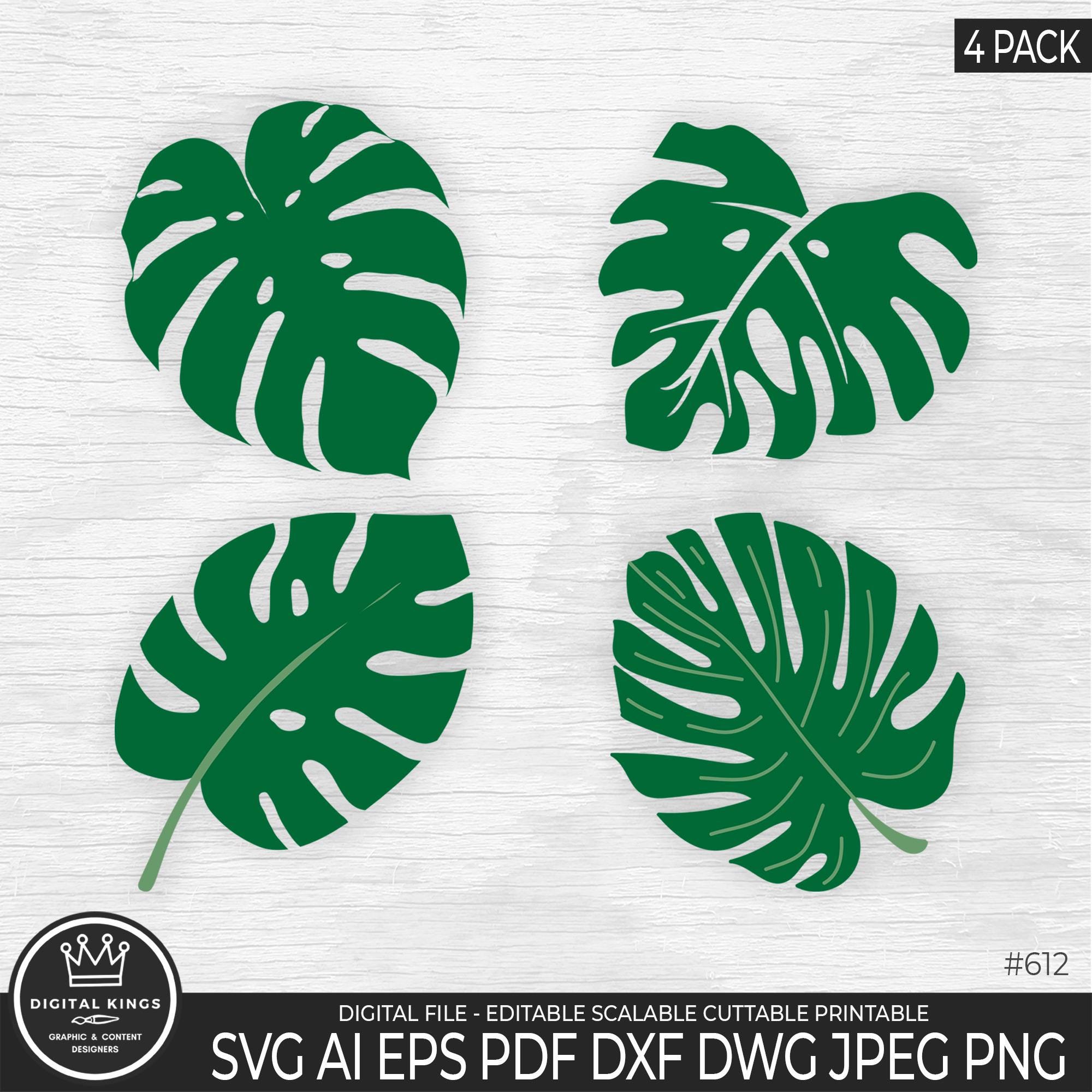 4 Aesthetic MONSTERA Leaves Svg Bundle, Monstera Clip Art, Monstera Cut ...