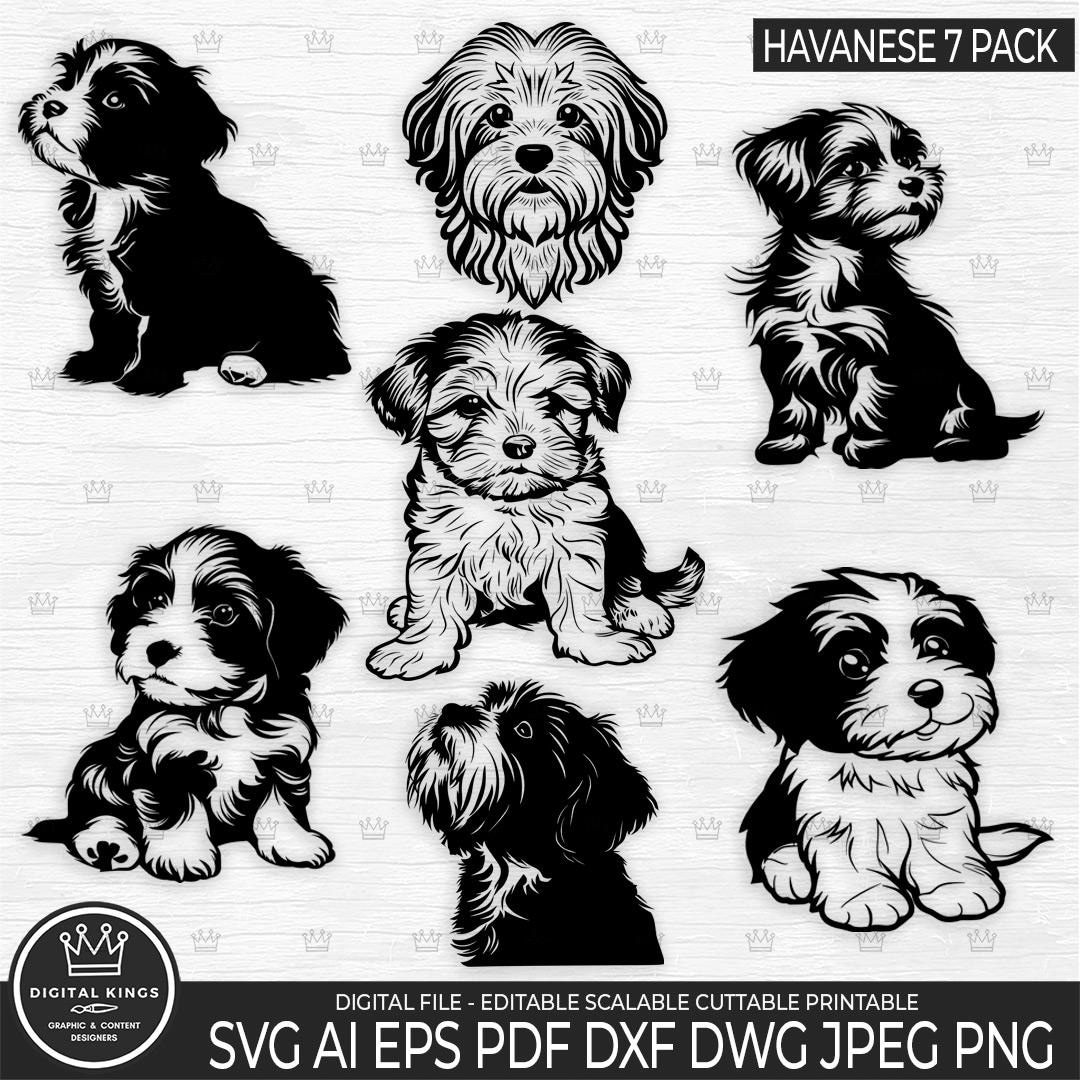 Cute Havanese Bundle Svg File, Havanese Lovers SVG, Havanese Silhouette ...