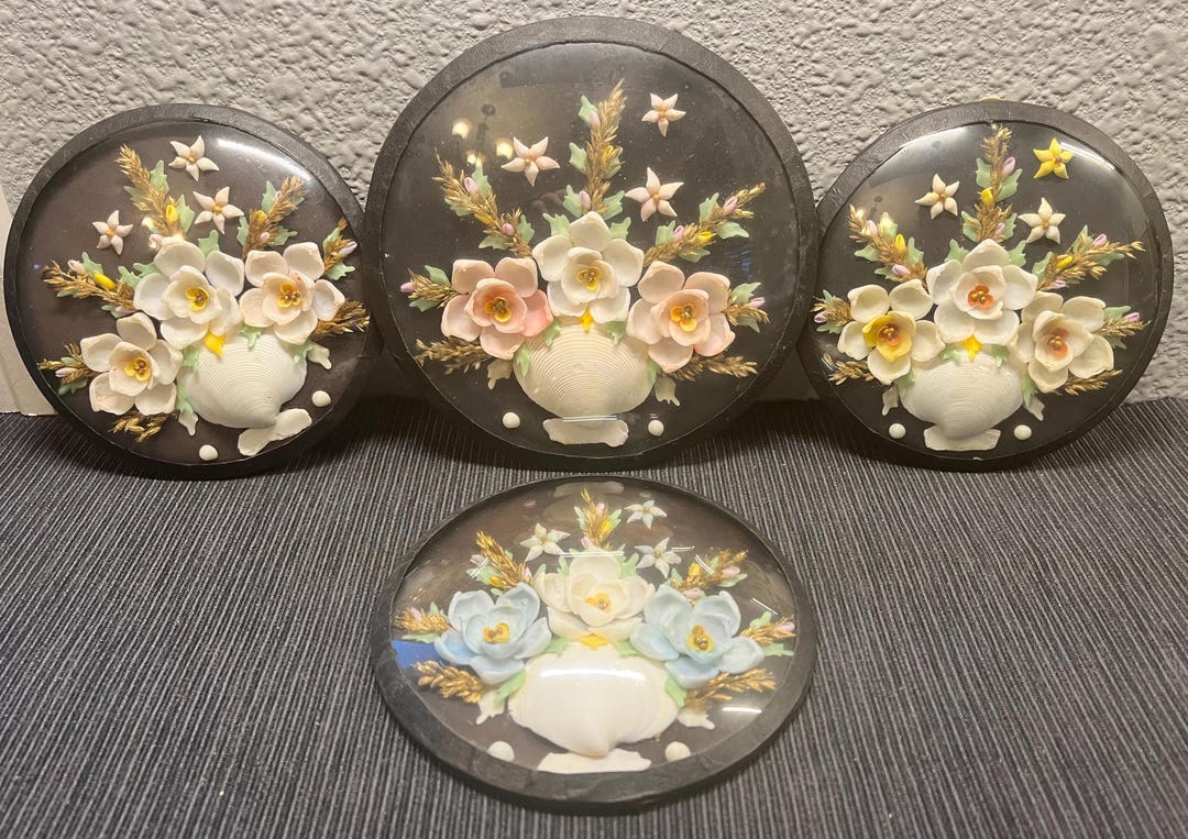Seashell Art in Floral Design, Domed Glass Frame - Etsy