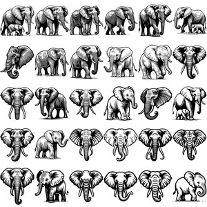 Elephant SVG Bundle, Elephant PNG Designs, Elephant Clipart for Cricut ...
