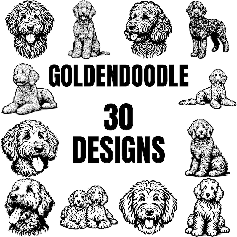 Goldendoodle Svg - Etsy