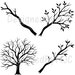 Tree Branch SVG Clipart & PNG Files, Branch PNG Graphics, Digital Clip ...
