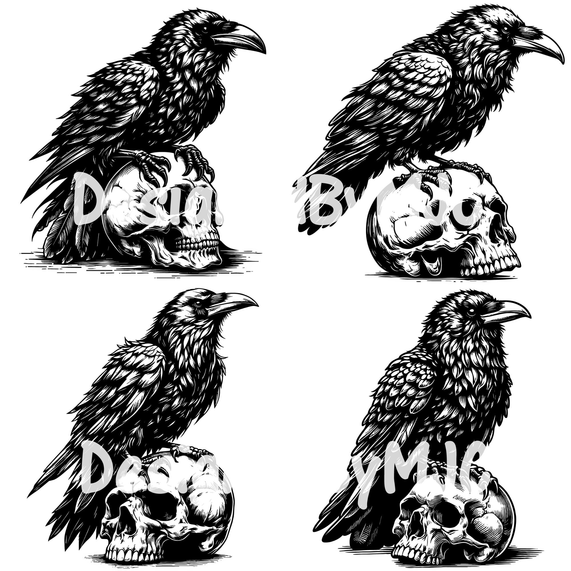 Raven Siting on Skull SVG Bundle & PNG Files, Raven Bundle Svg Png ...