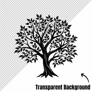 Tree Branch SVG Clipart & PNG Files, Branch PNG Graphics, Digital Clip ...