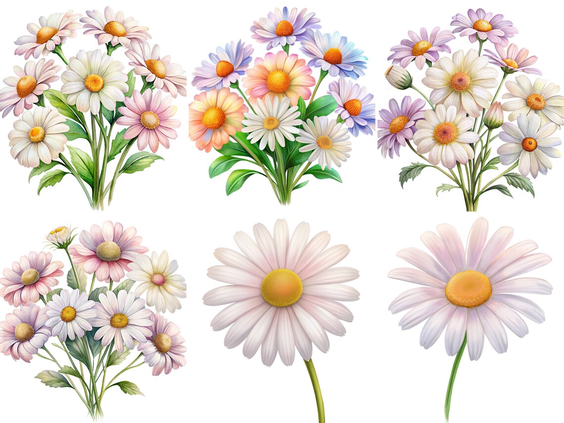 Daisy Bundle Clipart, PNG Files, 24 Cute Watercolor Flower Graphics ...