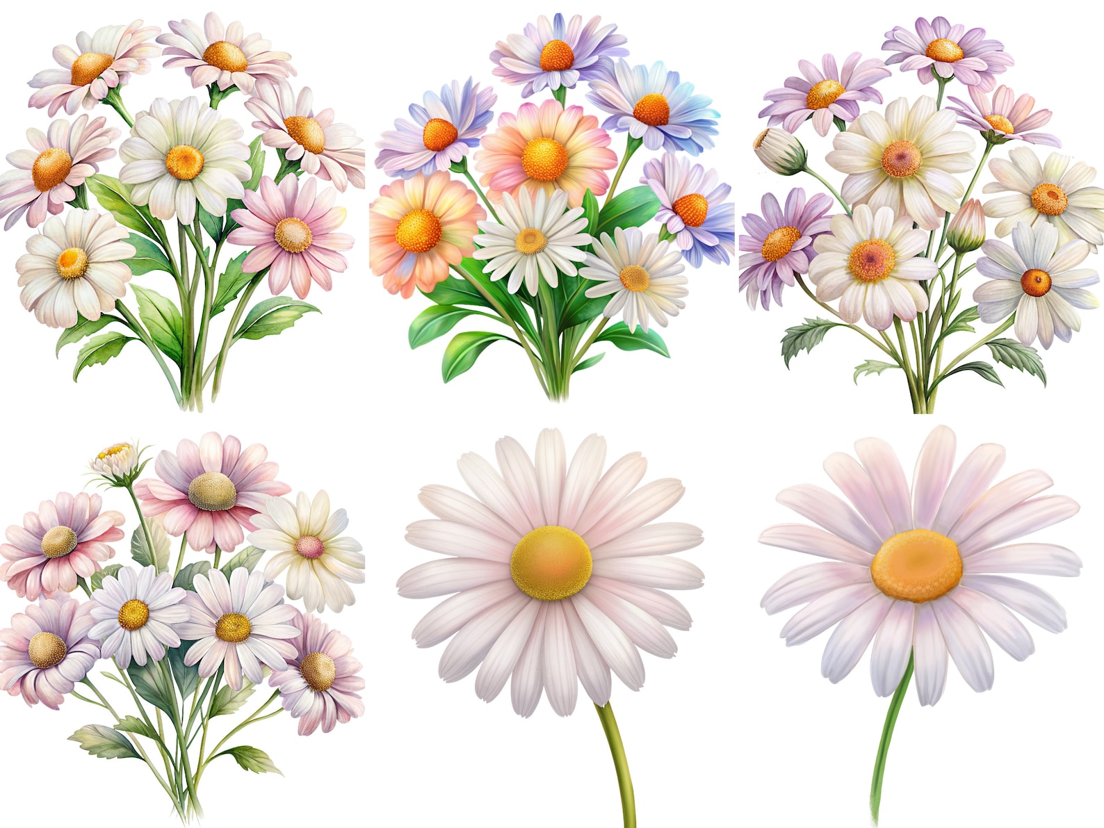 Daisy Bundle Clipart, PNG Files, 24 Cute Watercolor Flower Graphics ...