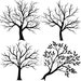 Tree Branch SVG Clipart & PNG Files, Branch PNG Graphics, Digital Clip ...