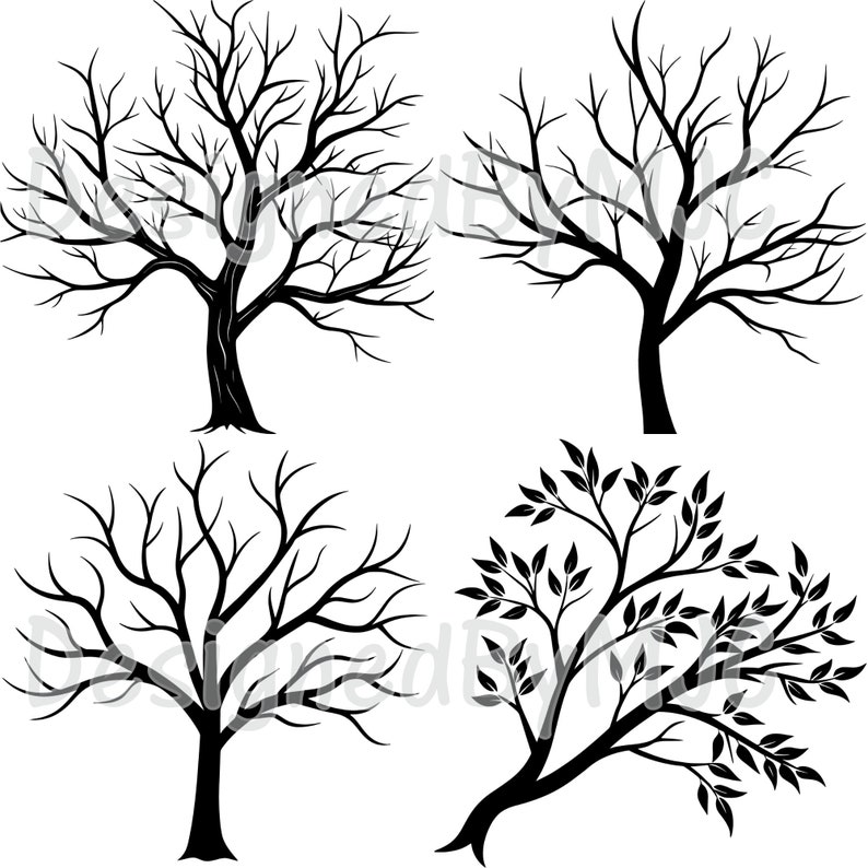 Tree Branch SVG Clipart & PNG Files, Branch PNG Graphics, Digital Clip ...