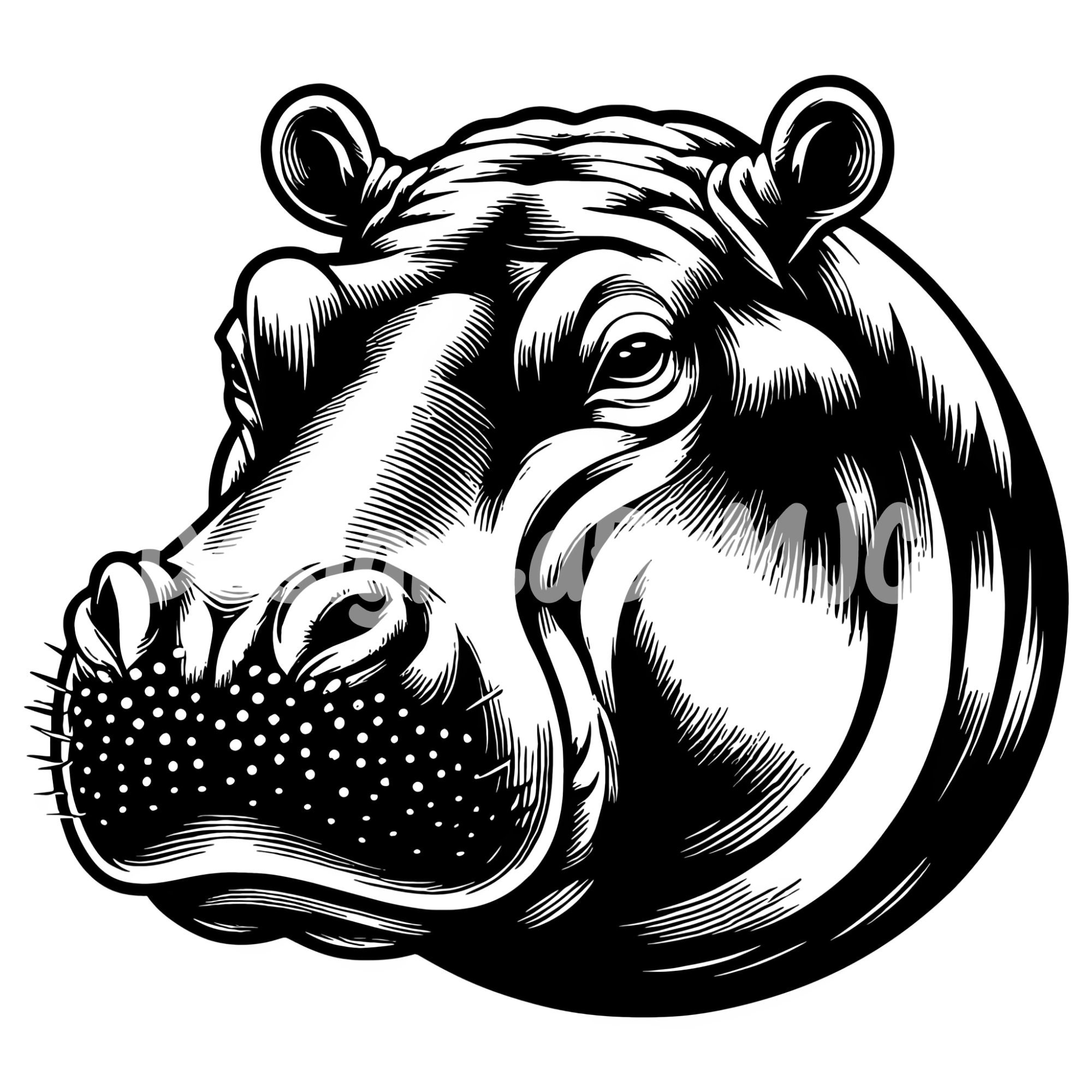 Hippo SVG Bundle & PNG Files, Hippopotamus Svg, Hippopotamus Clipart ...