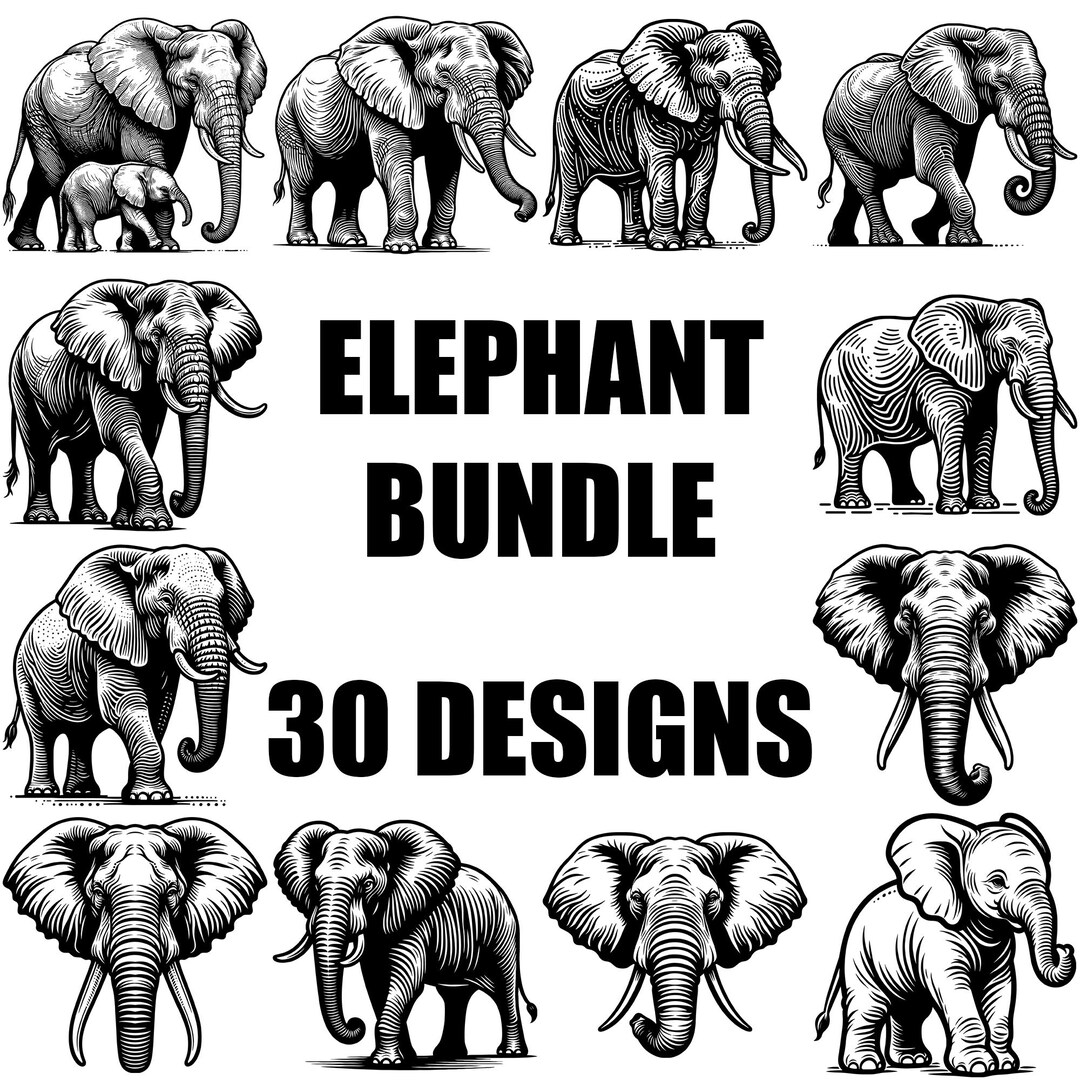 Elephant SVG Bundle, Elephant PNG Designs, Elephant Clipart for Cricut ...