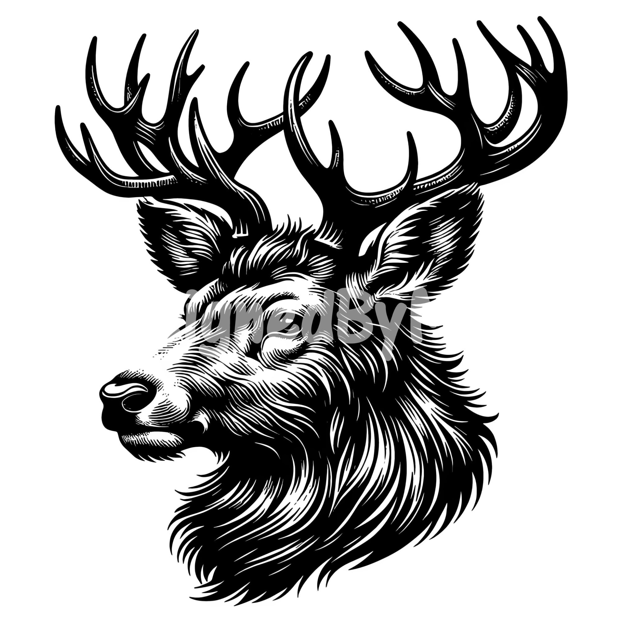 Deer SVG Bundle & PNG Files, Deer Head Svg, White Tail Deer Design ...
