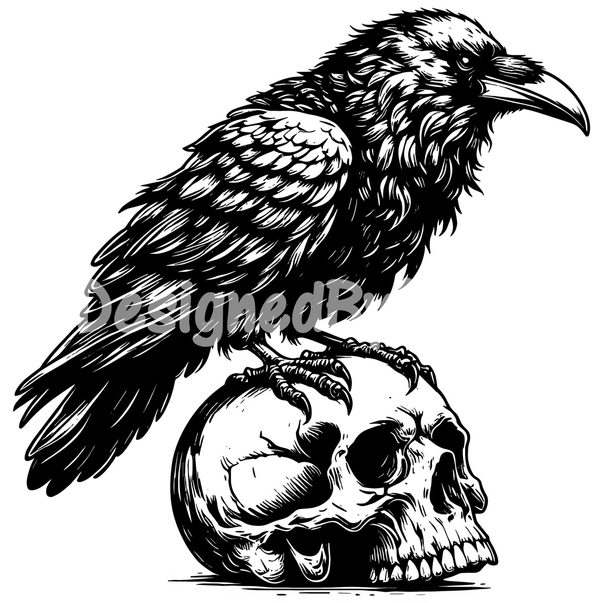 Raven Siting on Skull SVG Bundle & PNG Files, Raven Bundle Svg Png ...