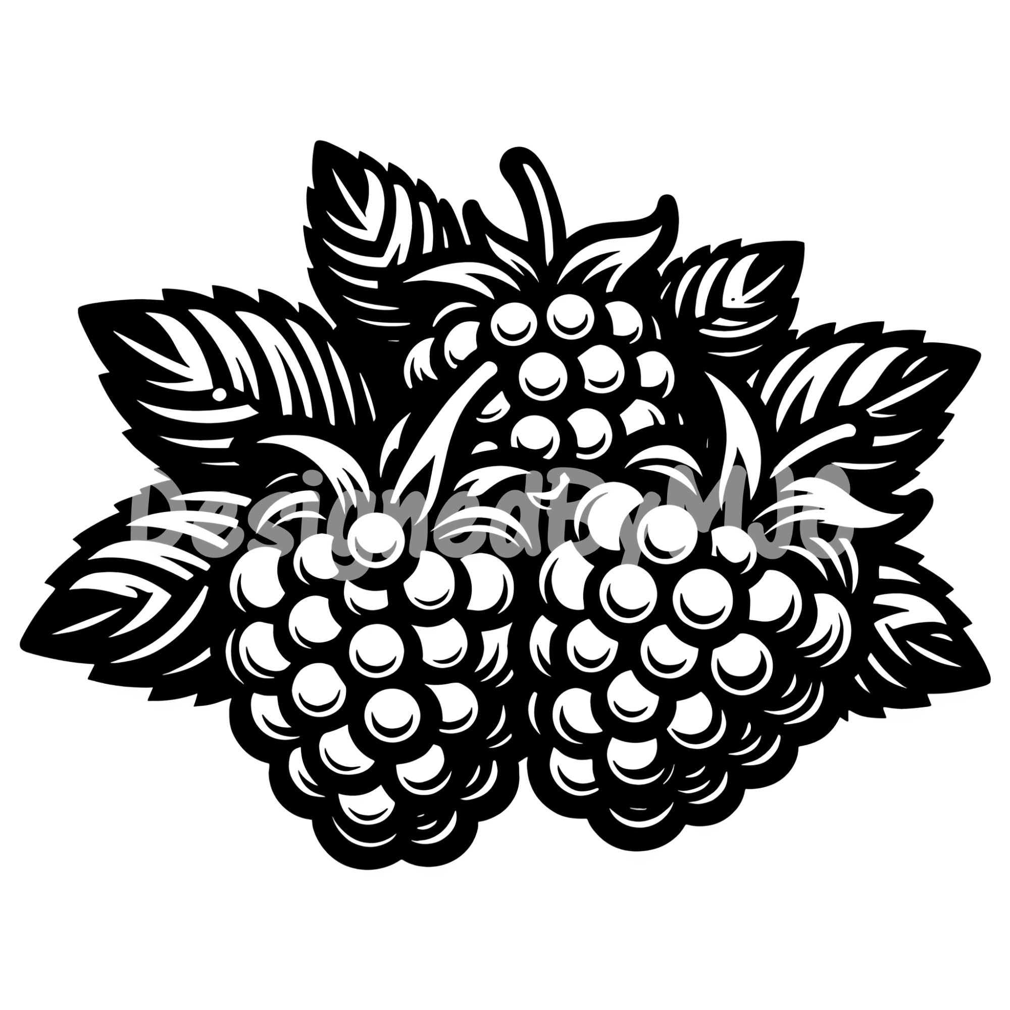 Raspberry SVG Bundle & PNG Files, Raspberry Fruit Clipart, Raspberry ...