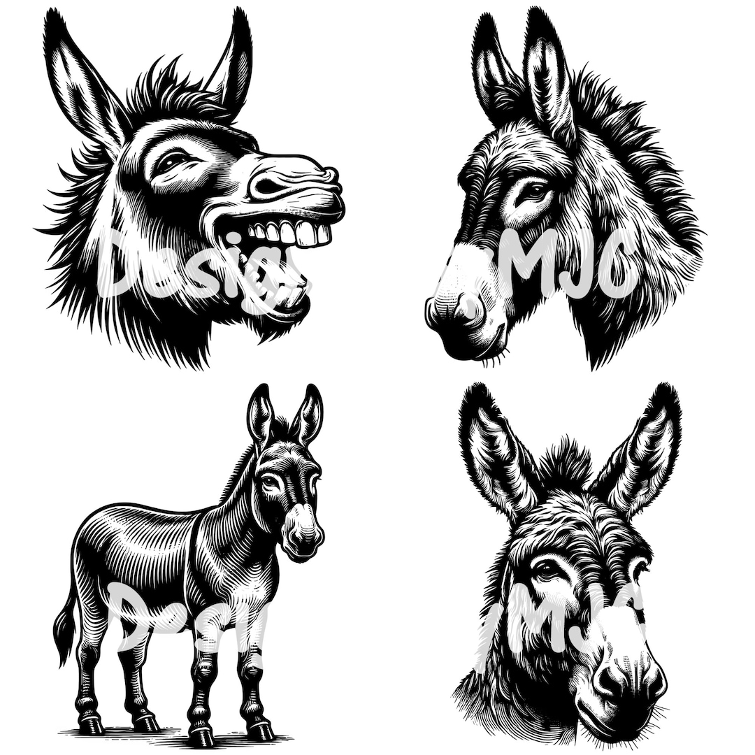 Donkey SVG Clipart & PNG Files, Donkey Svg Bundle, Donkey Png, Donkey ...