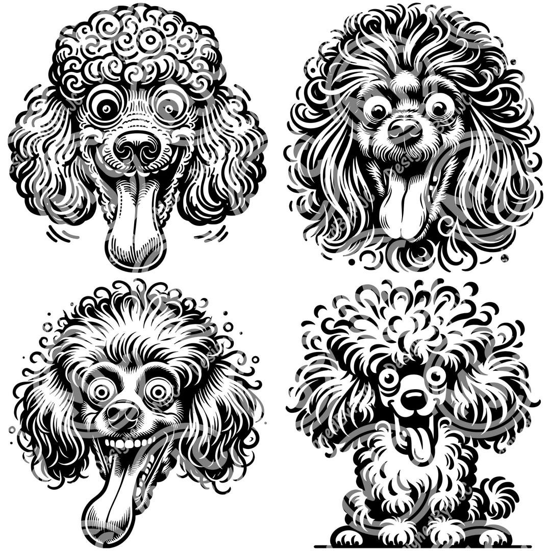 Funny Laughing Poodle SVG Bundle, Poodle Clipart, Crazy Poodle Cartoon ...