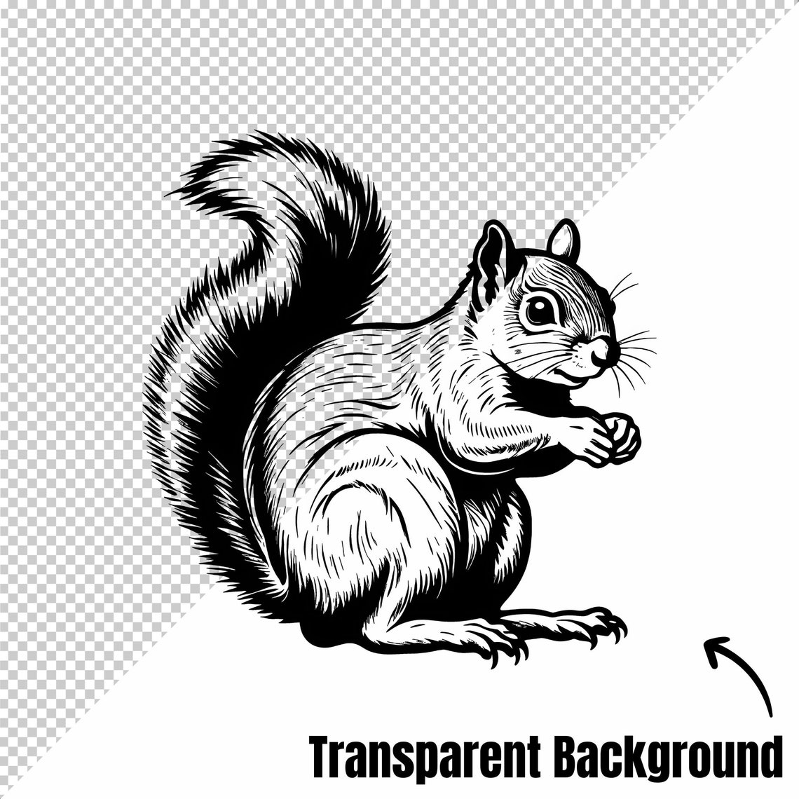 Squirrel SVG Clipart & PNG Files, Woodland Animals Graphics, Digital ...