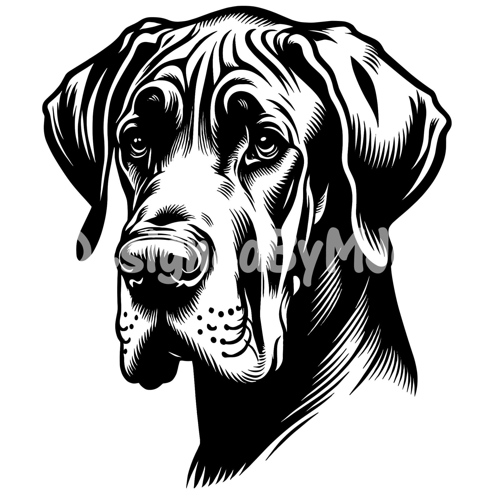 Great Dane Dog SVG Bundle, Great Dane Clipart for Cricut, Silhouette ...