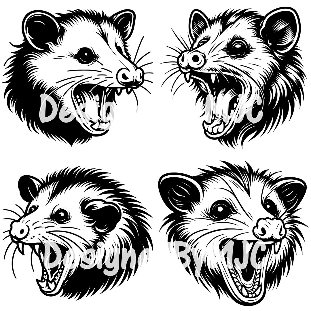 Opossum SVG PNG Bundle, Feral Girl Summer Design, Opossum Head Svg ...