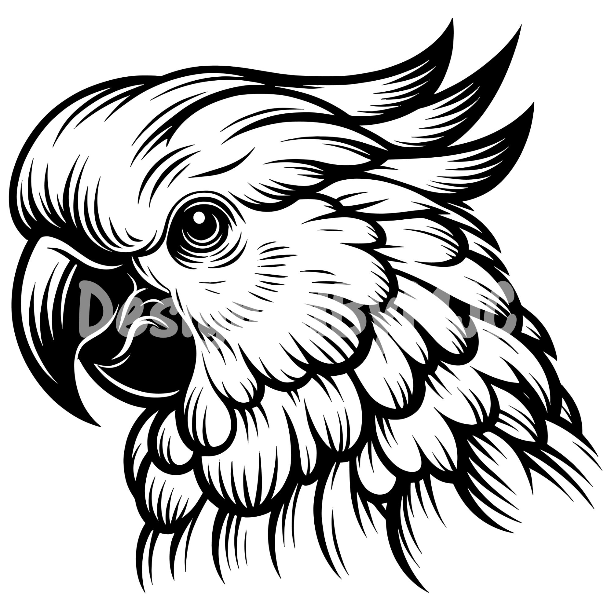 Cockatoo Parrot SVG Clipart PNG, Bird Tropical Feathers Colorful ...