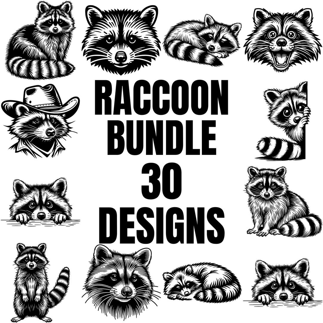 Raccoon SVG Bundle, Cute Raccoon Clipart, Raccoon Head PNG, Woodland ...