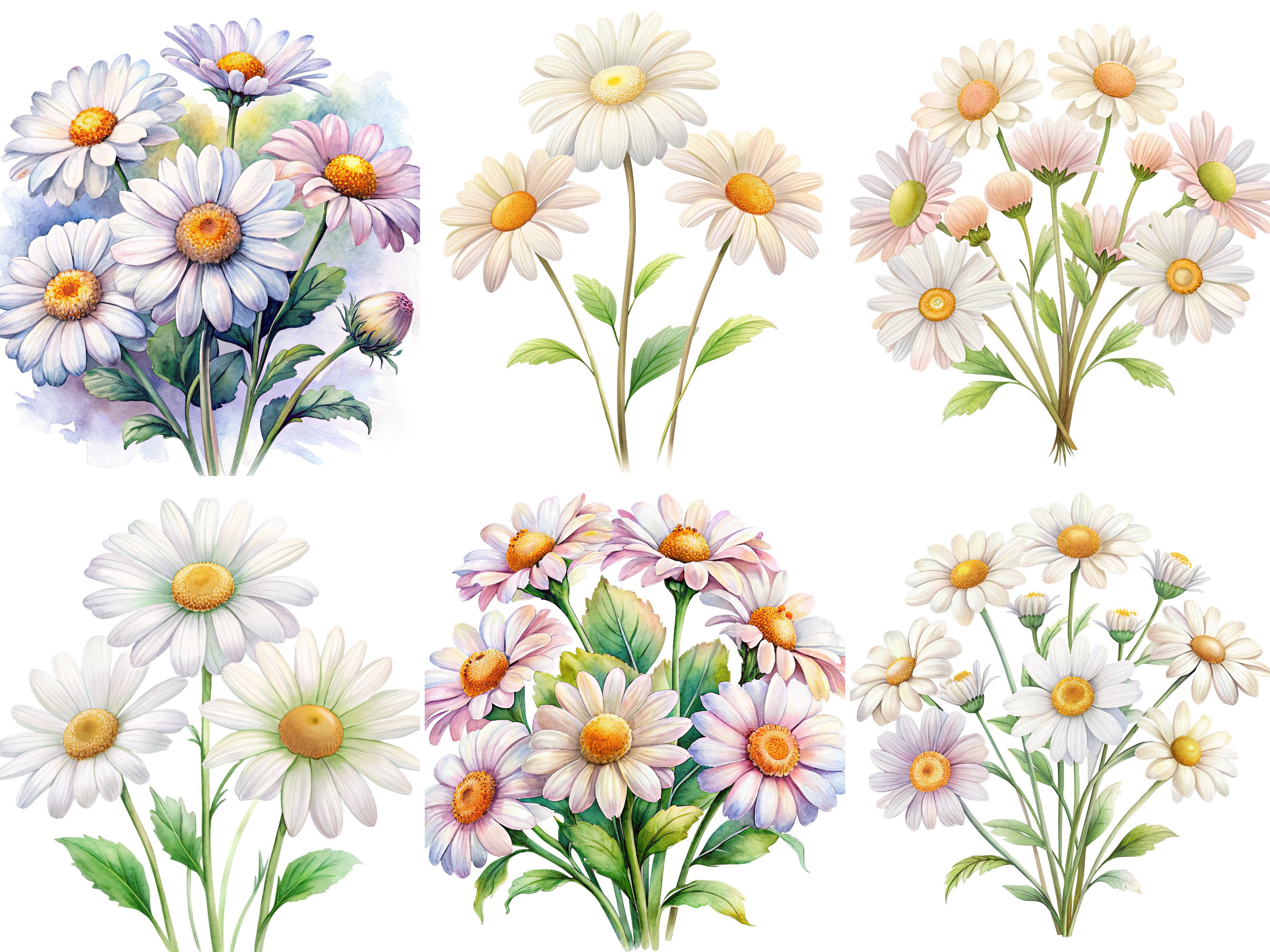 Daisy Bundle Clipart, PNG Files, 24 Cute Watercolor Flower Graphics ...