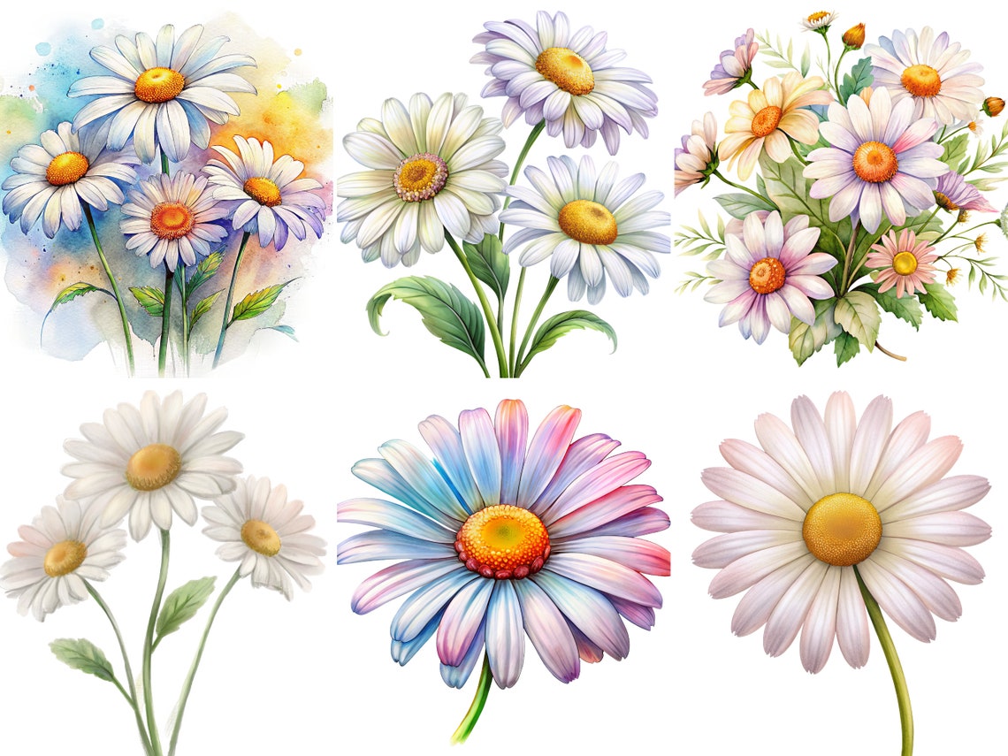 Daisy Bundle Clipart, PNG Files, 24 Cute Watercolor Flower Graphics ...
