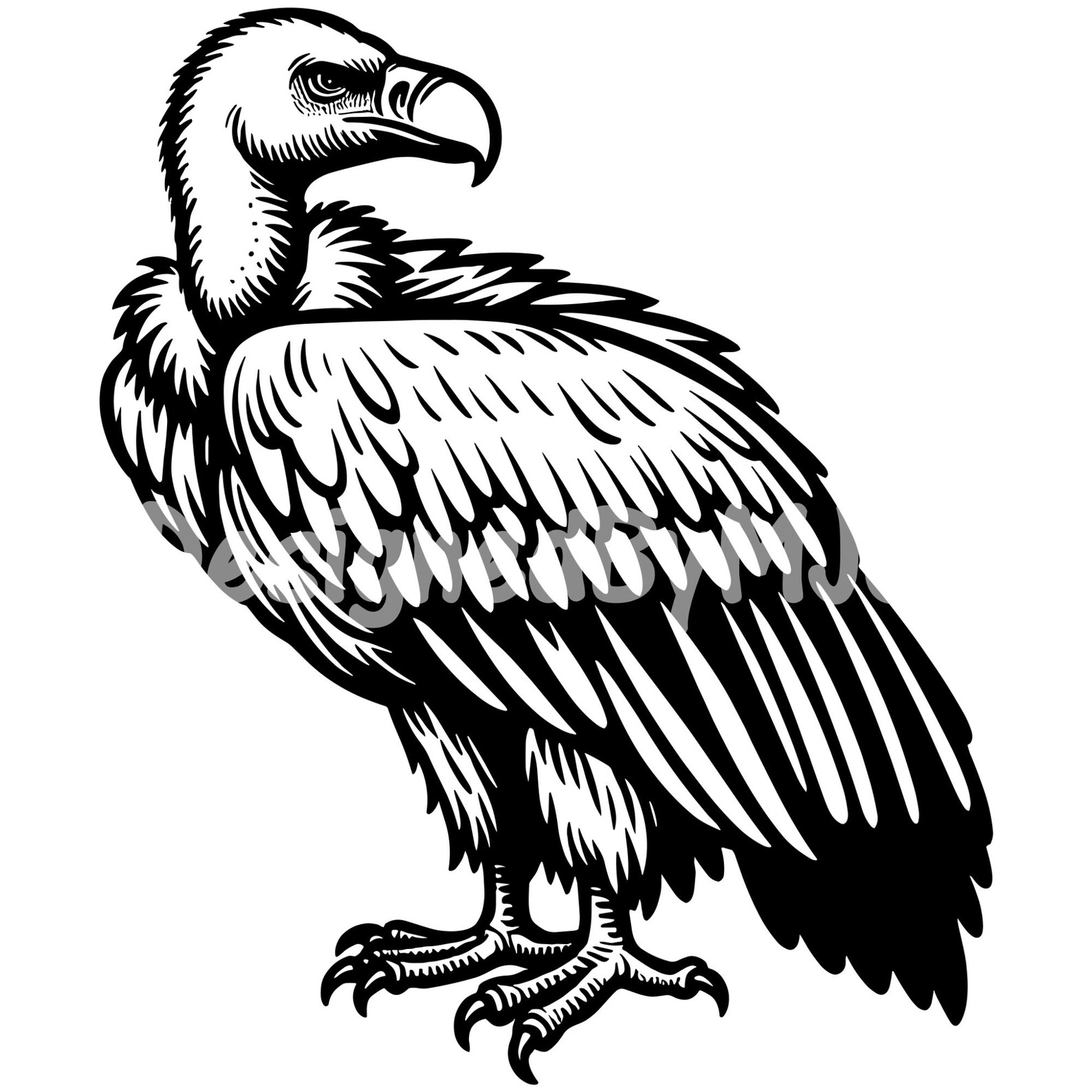 Vulture SVG PNG Bundle, Dog Clipart, Vulture PNG Files, Vulture ...