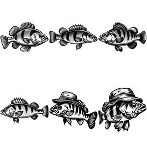 Perch Fish Vector SVG Bundle, Perch Fishing SVG, Fishing SVG, Jumping ...