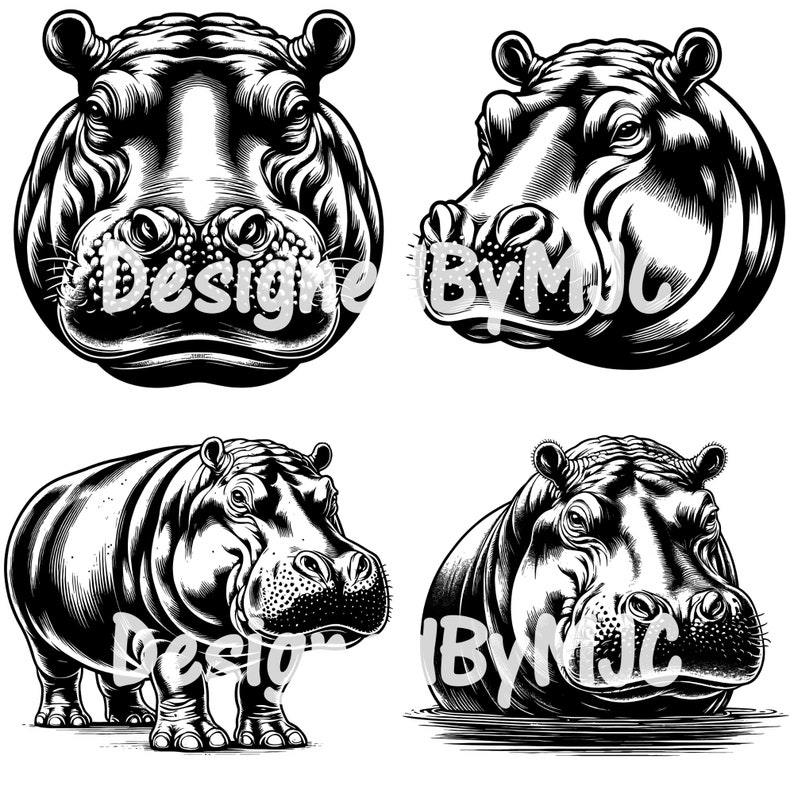 Hippo SVG Bundle & PNG Files, Hippopotamus Svg, Hippopotamus Clipart ...