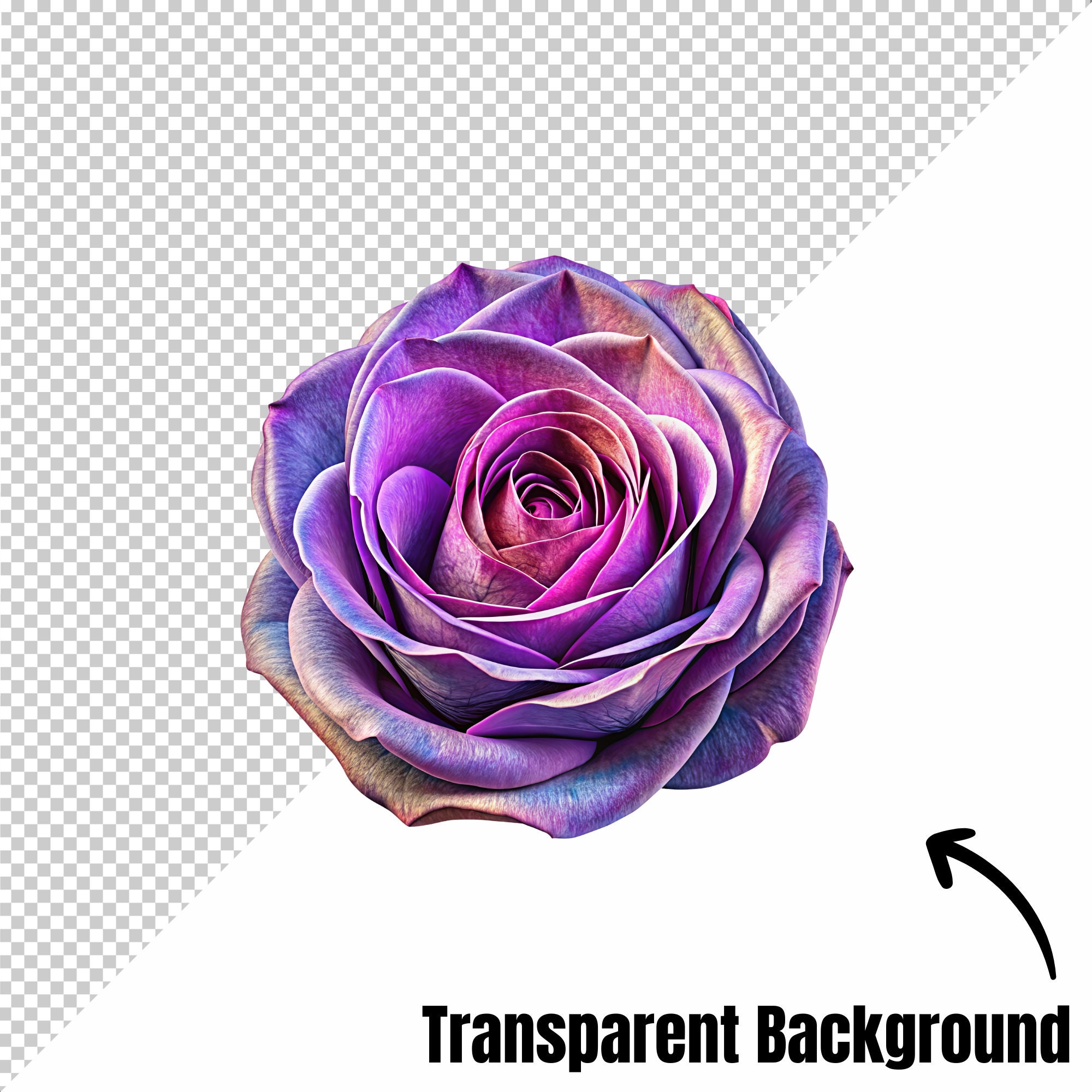 Rose Bundle Clipart, 50 PNG Files, Cute Watercolor Graphics, Floral ...