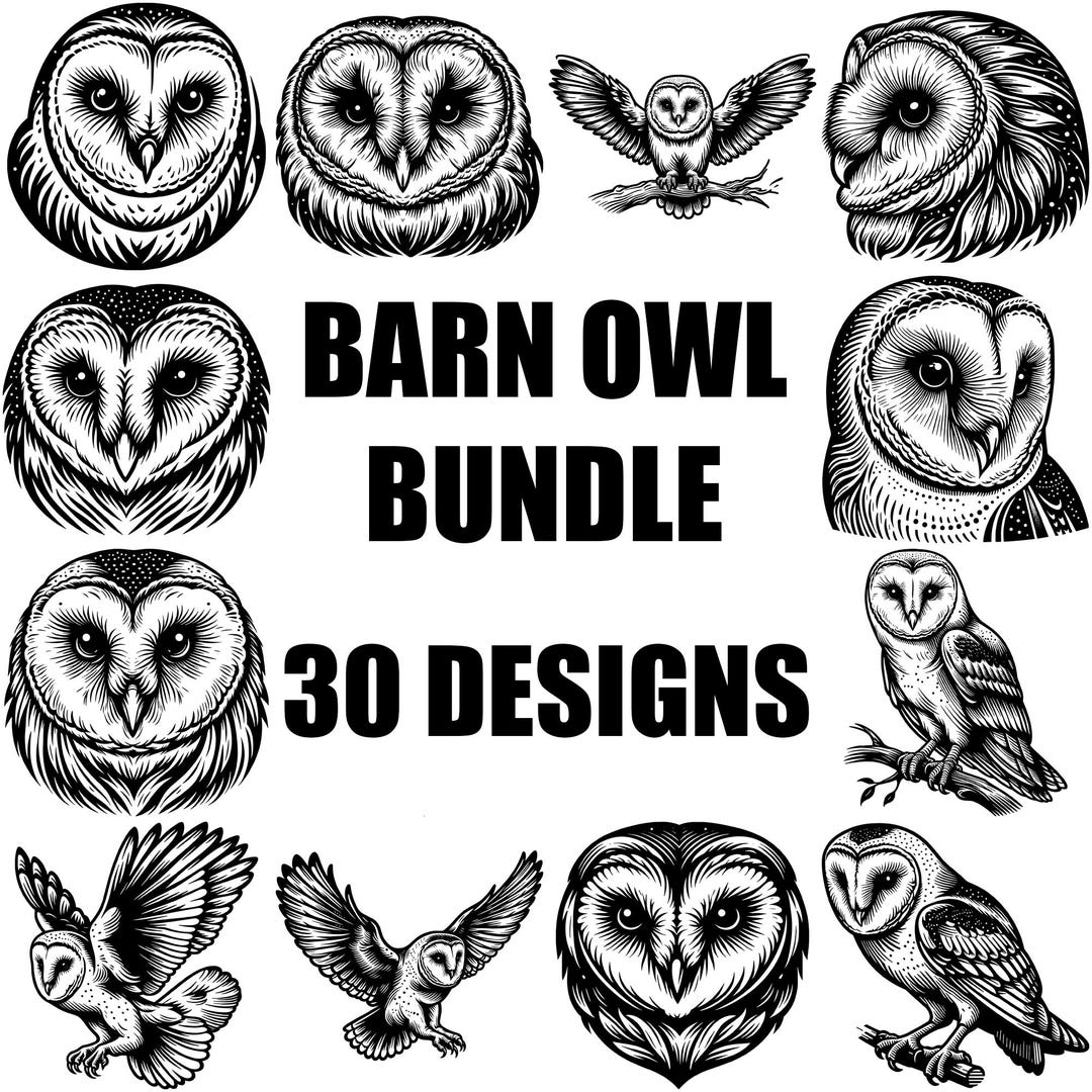 Barn Owl SVG Bundle, Bird Clipart, Flying Owl Silhouette Vector Image ...