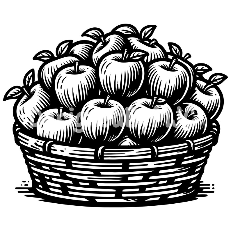 Bushel of Apples SVG, Fall Harvest, Apple Picking SVG, Basket of Apples ...