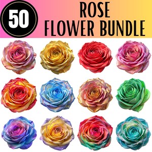 Rose Bundle Clipart, 50 PNG Files, Cute Watercolor Graphics, Floral ...