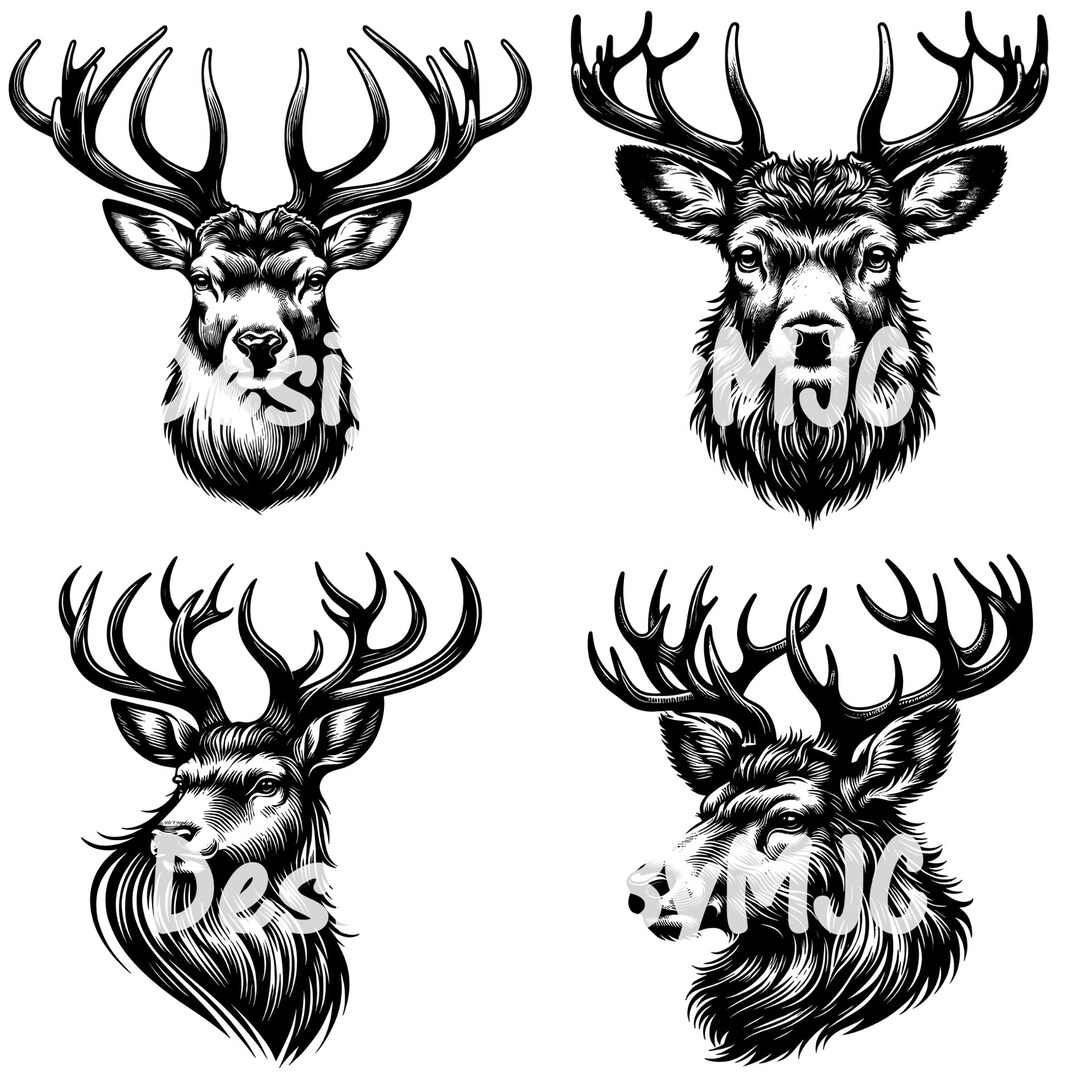 Deer SVG Bundle & PNG Files, Deer Head Svg, White Tail Deer Design ...