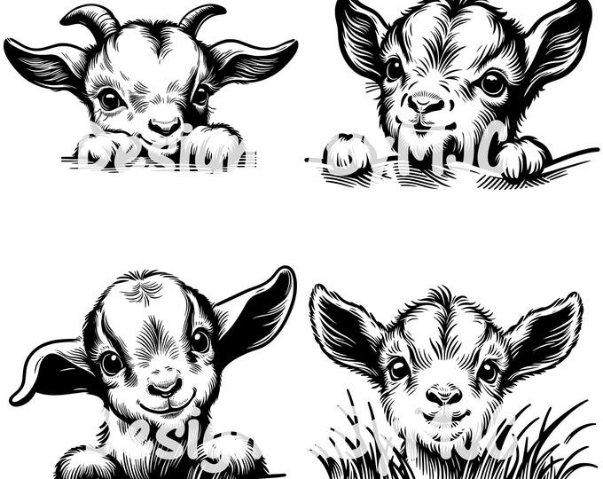 Goat Fine Line Realistic Pencil Sketch, Printable Commercial Farm ...