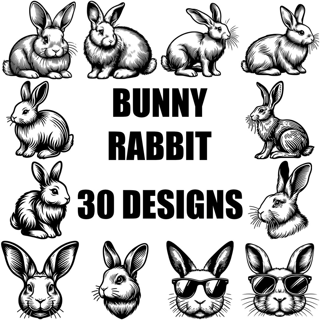 Rabbit SVG Bundle, Bunny Rabbit PNG, Rabbit Clipart, Bunny SVG Cut ...