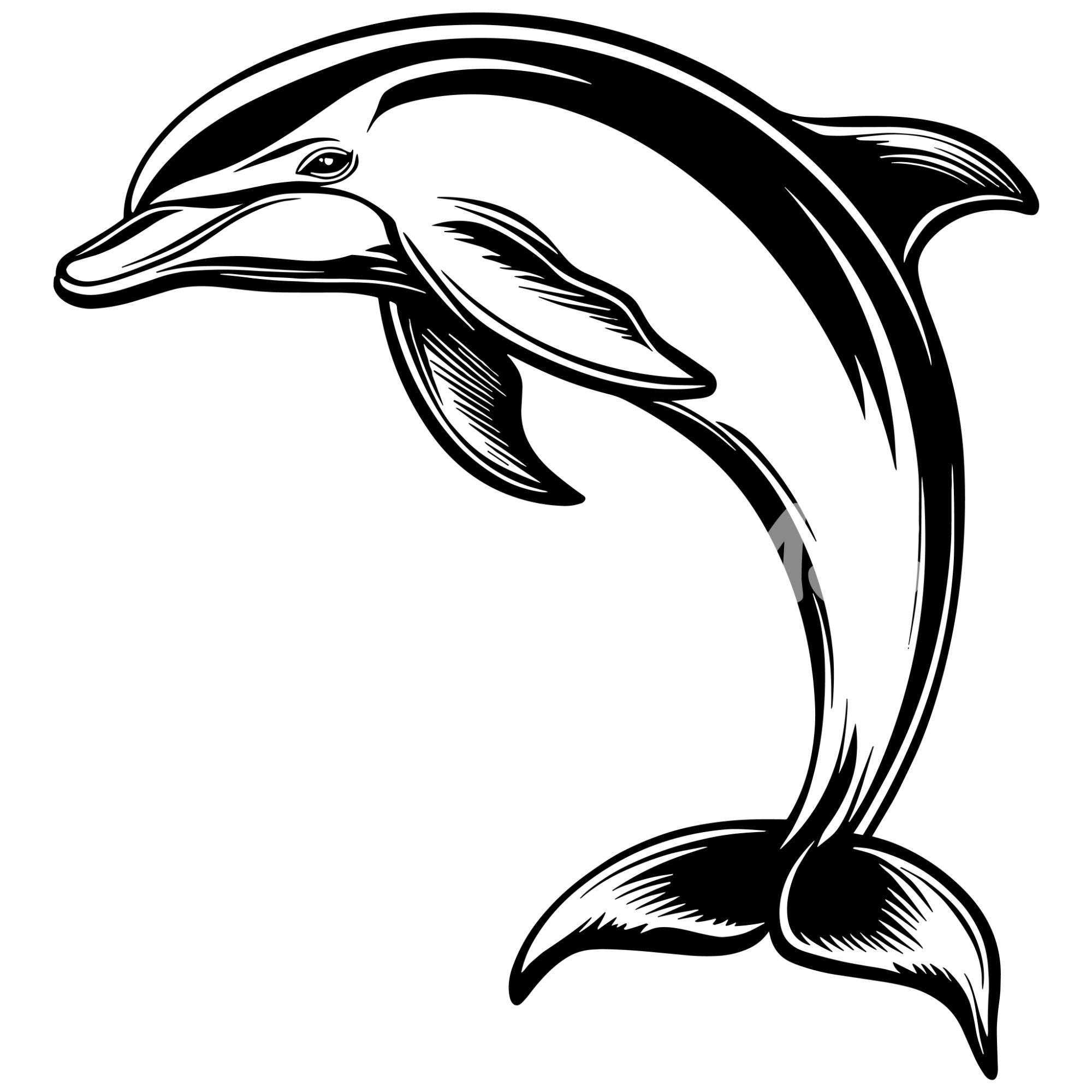 Dolphin SVG, Dolphin Svg Bundle, Dolphin Clipart, Dolphin Png, Dolphin ...