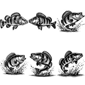 Perch Fish Vector SVG Bundle, Perch Fishing SVG, Fishing SVG, Jumping ...
