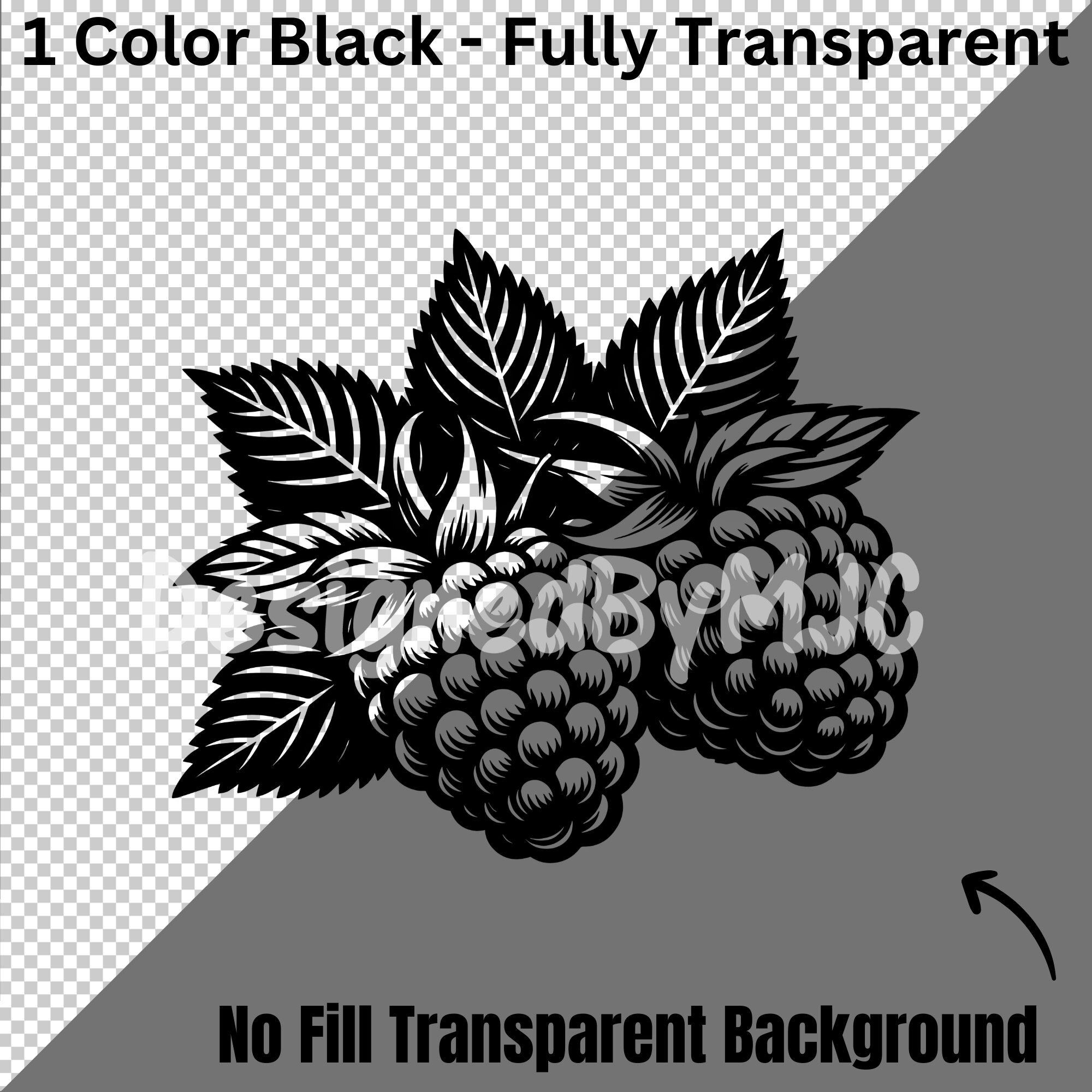 Raspberry SVG Bundle & PNG Files, Raspberry Fruit Clipart, Raspberry ...