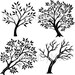 Tree Branch SVG Clipart & PNG Files, Branch PNG Graphics, Digital Clip ...