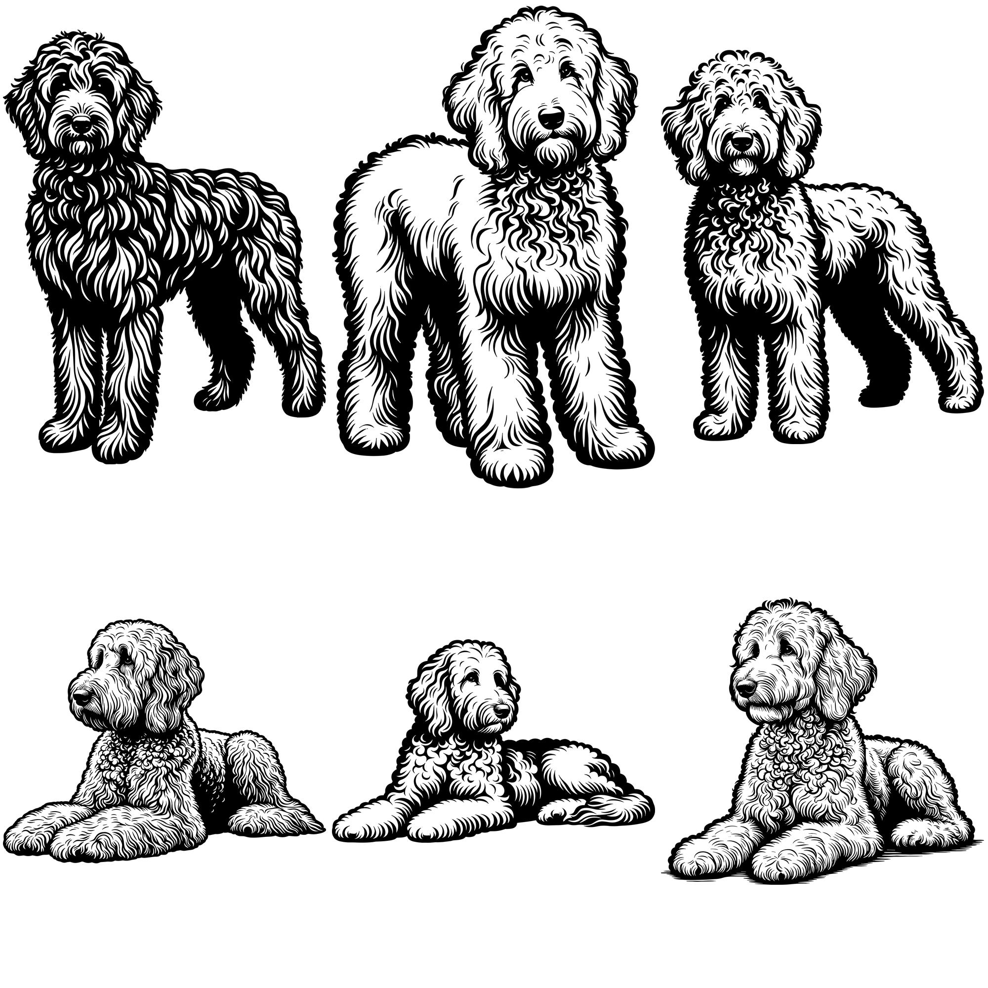 Goldendoodle SVG PNG Bundle, Dog Lover Clipart, Golden Doodle Vector ...