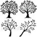 Tree Branch SVG Clipart & PNG Files, Branch PNG Graphics, Digital Clip ...